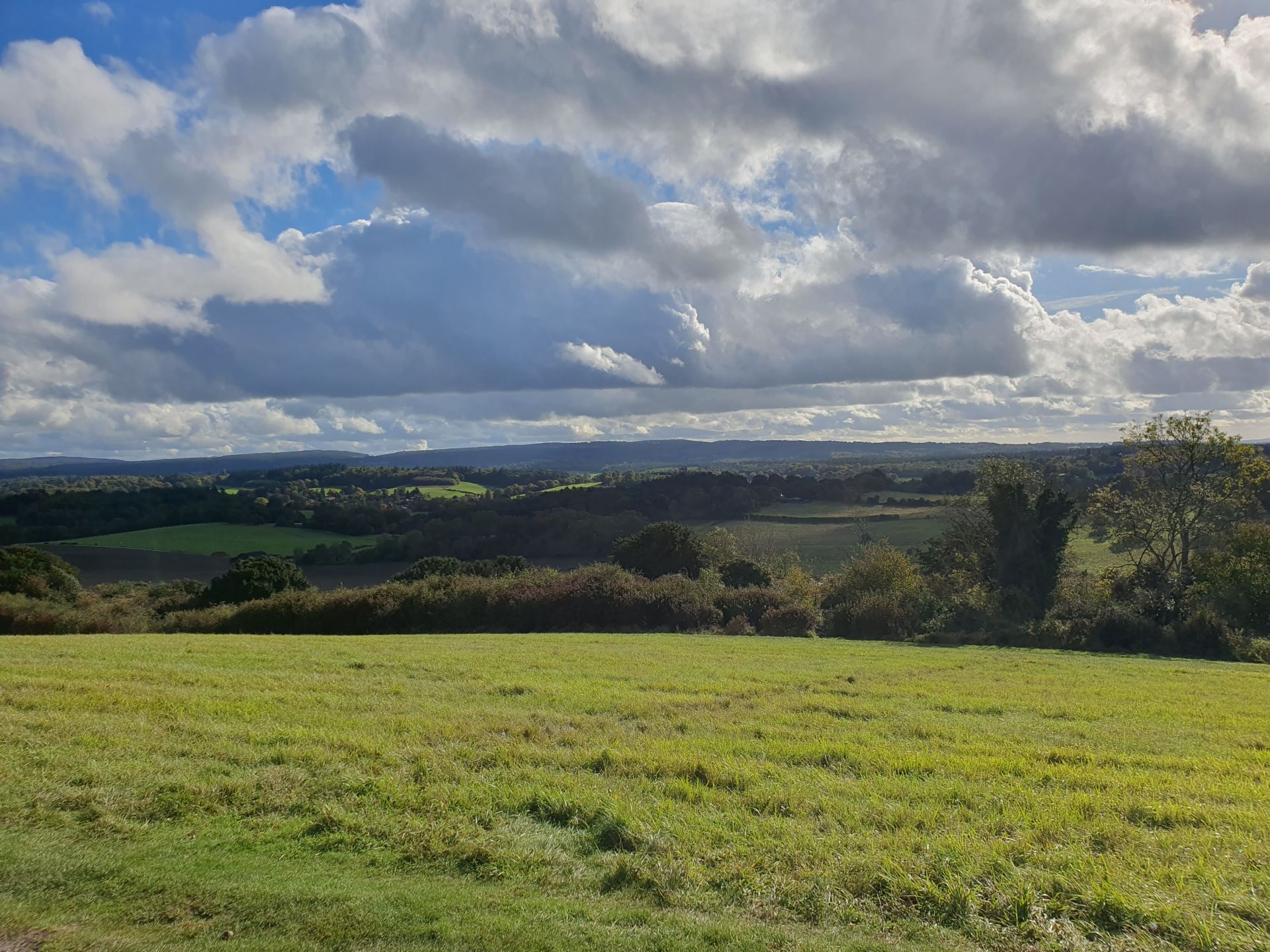 Newlands Corner - Ramblers